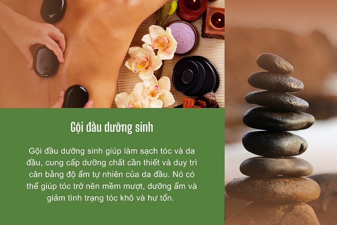 Top 15+ địa chỉ gội đầu dưỡng sinh Hà Nội uy tín tốt nhất